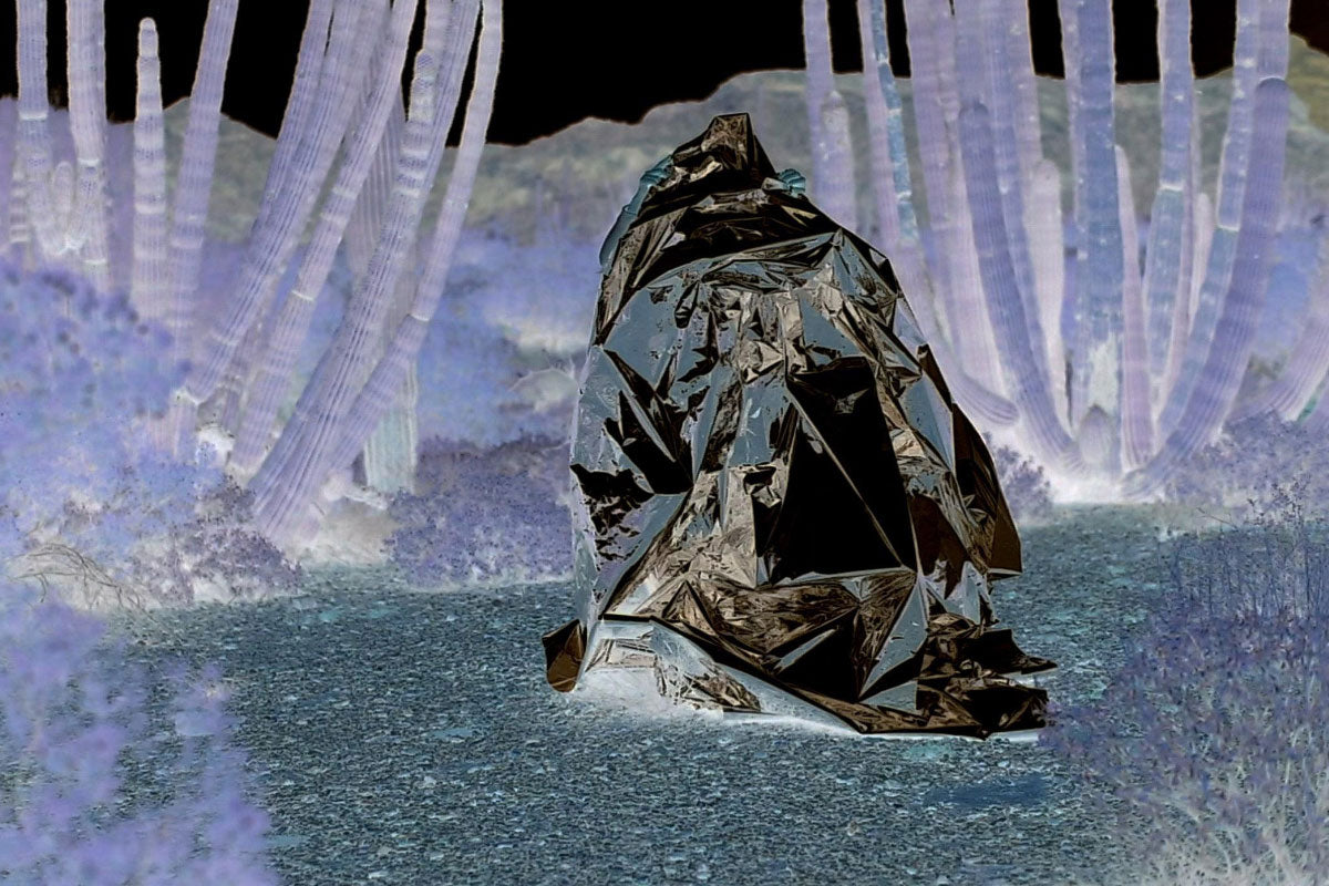 Midnight Forms – The Broadbent Sisters